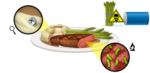 Section 2 — Food Safety Hazards - Food Handler Training